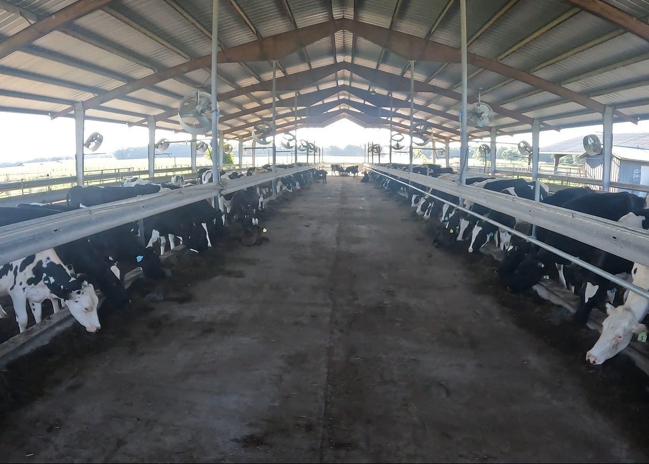 Our Story – Cows And Crosses