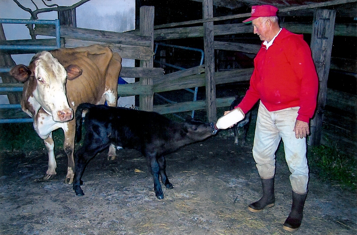 SHHH…IT’S A BIRTHDAY SURPRISE – Cows And Crosses